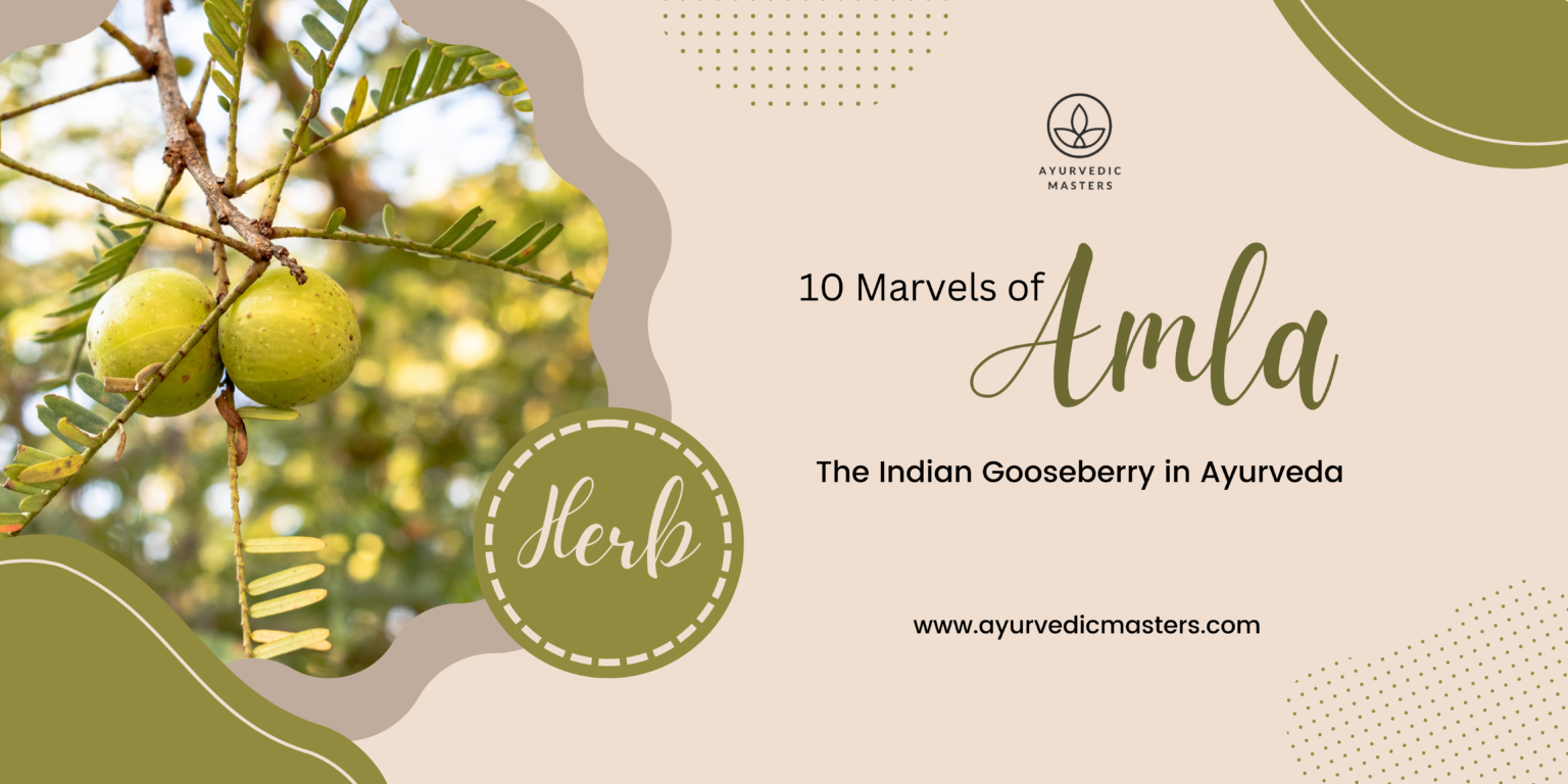 The Marvels of Amla: The Indian Gooseberry in Ayurveda ...